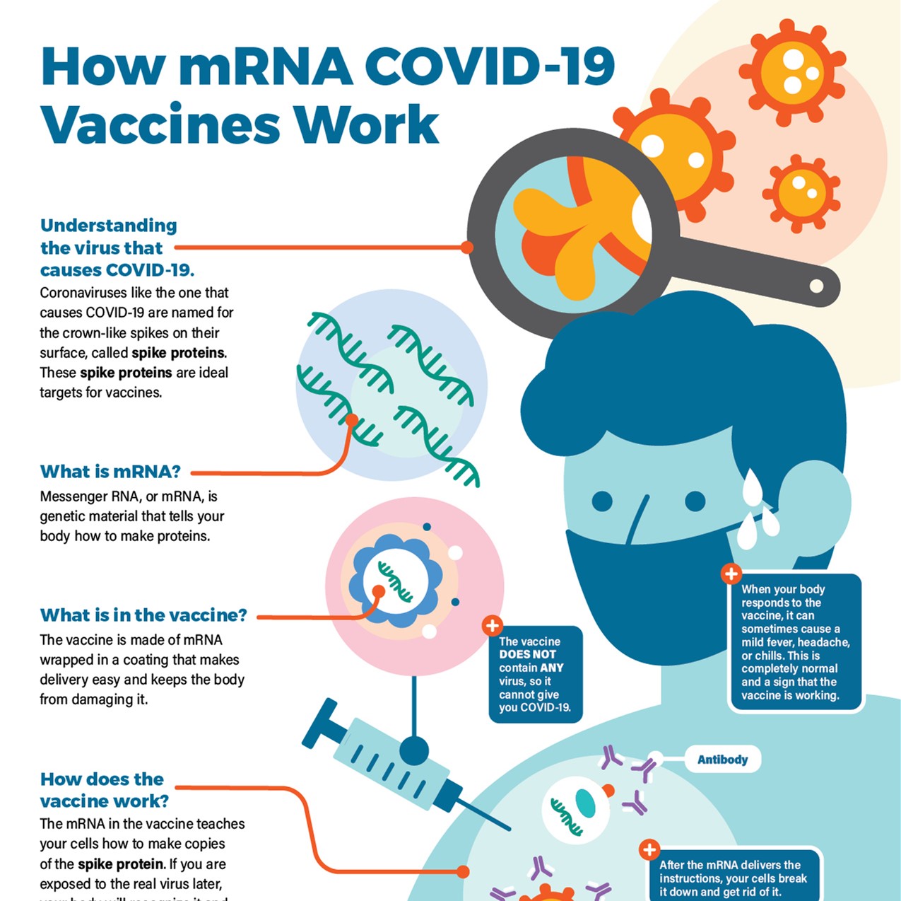 cdc mrna poster - SETO Medical Providers